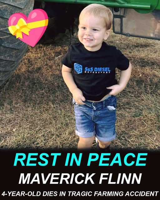 Fatal Farming Incident Kills Young Child and Great-Grandmother in ...