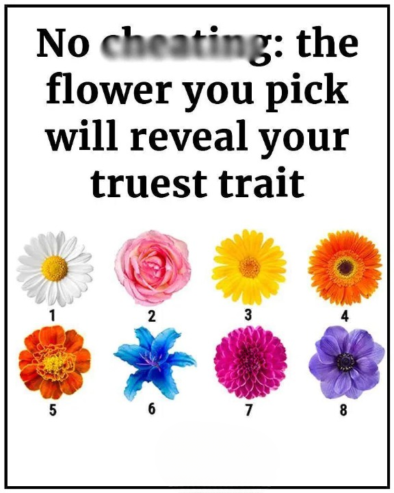 What Your Favorite Flower Says About You