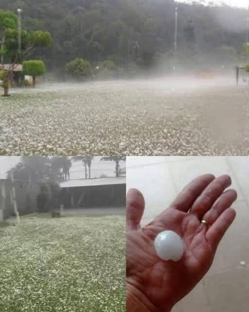 Massive hail struck the town on Tuesday evening! – ZooVisionHUB